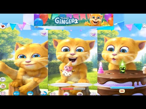 "Talking Ginger 2 FUNNIEST Reactions! Eating Meals, Birthday Candles ...