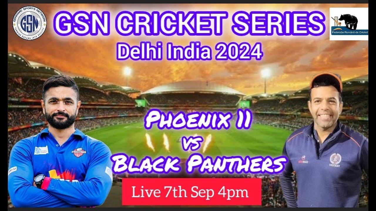GSN CRICKET SERIES DELHI INDIA 2024 | BLACK PANTHERS DELHI vs The ...