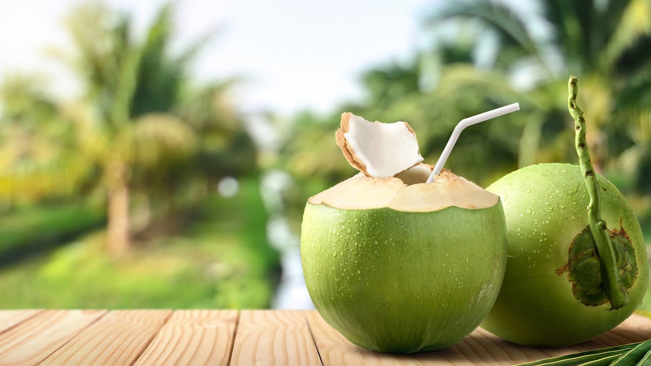 Benefit of Coconut Fruit - YouTube
