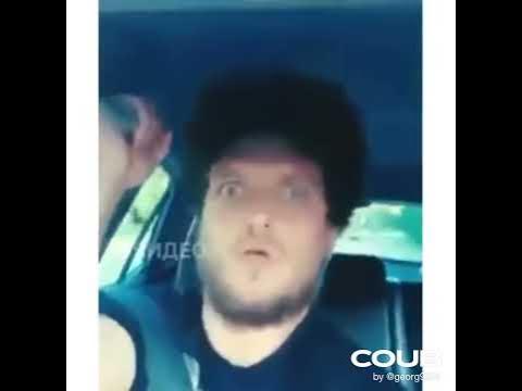 Лось - YouTube