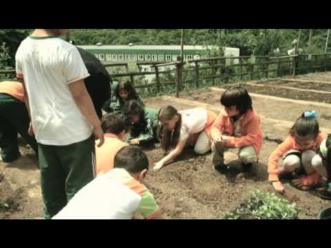 Doğa - Doğa Koleji Klibi
