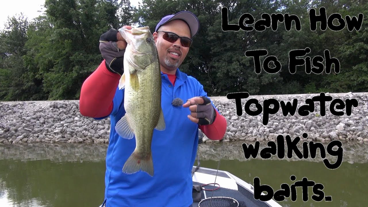 Best How to video on topwater walking baits. #29 - YouTube