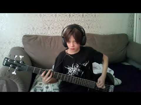 Nirvana- Sliver ( Bass Cover) - YouTube