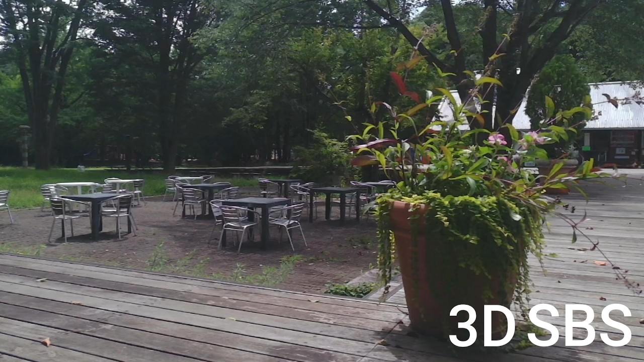 Unused Scenes #02 | 3D SBS VR | QooCam EGO 視力回復・立体視 - YouTube