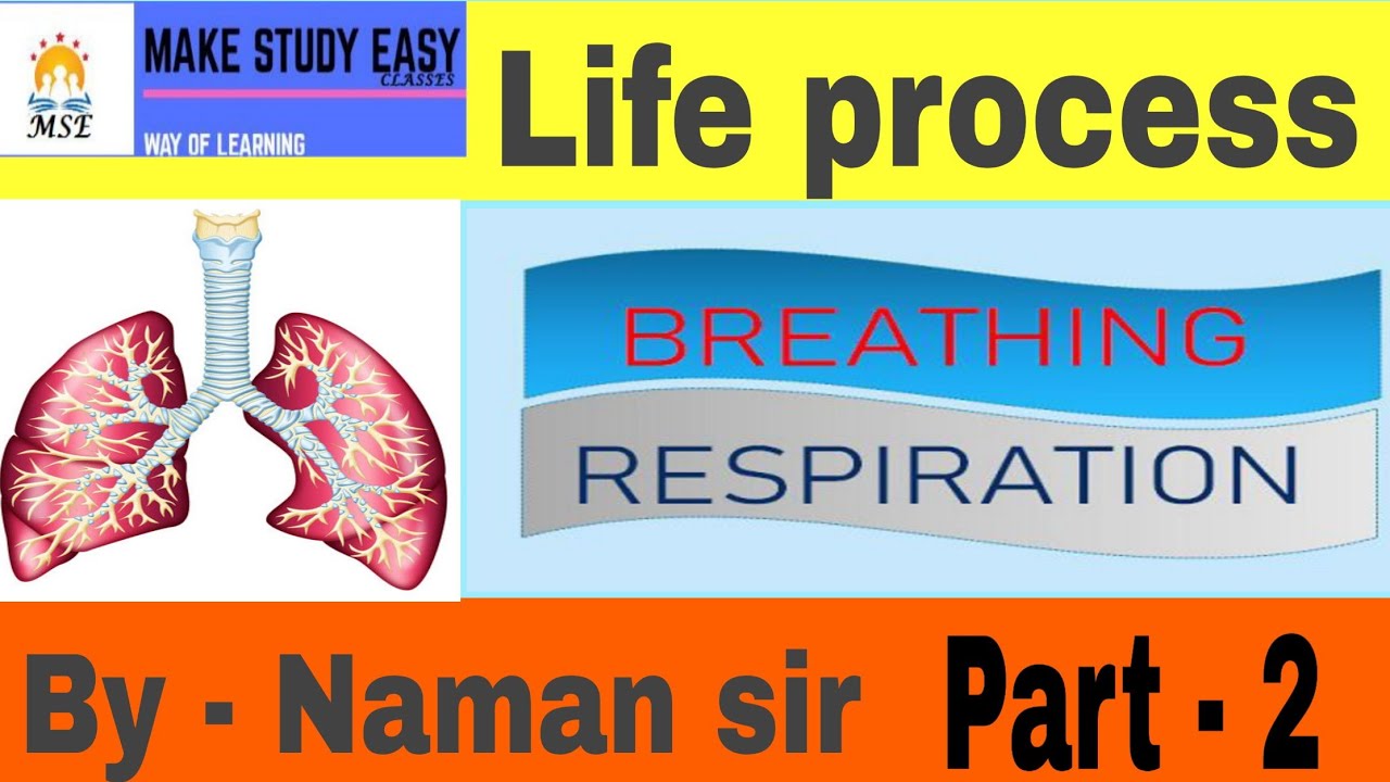 Life process | Respiration | CBSE Class -10th (Part -2) - YouTube