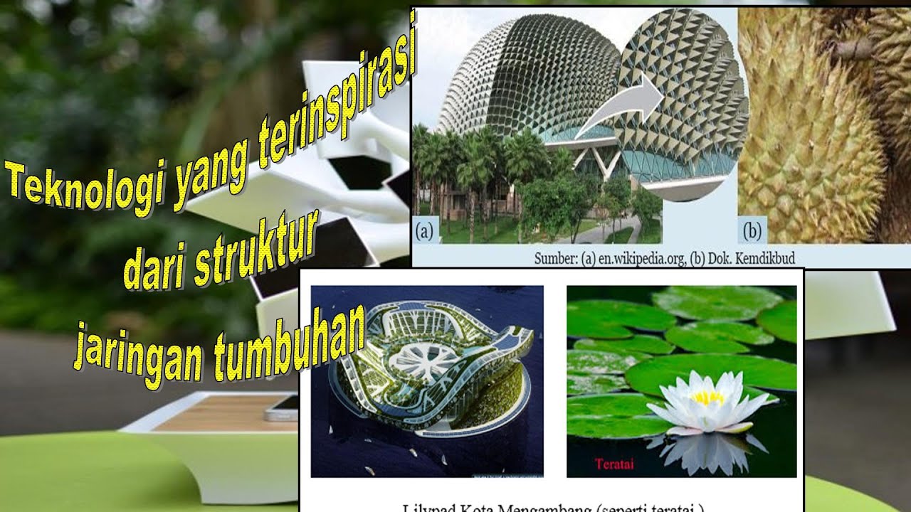 Contoh Poster Teknologi Yang Terinspirasi Dari Tumbuhan Contoh Gambar Vrogue