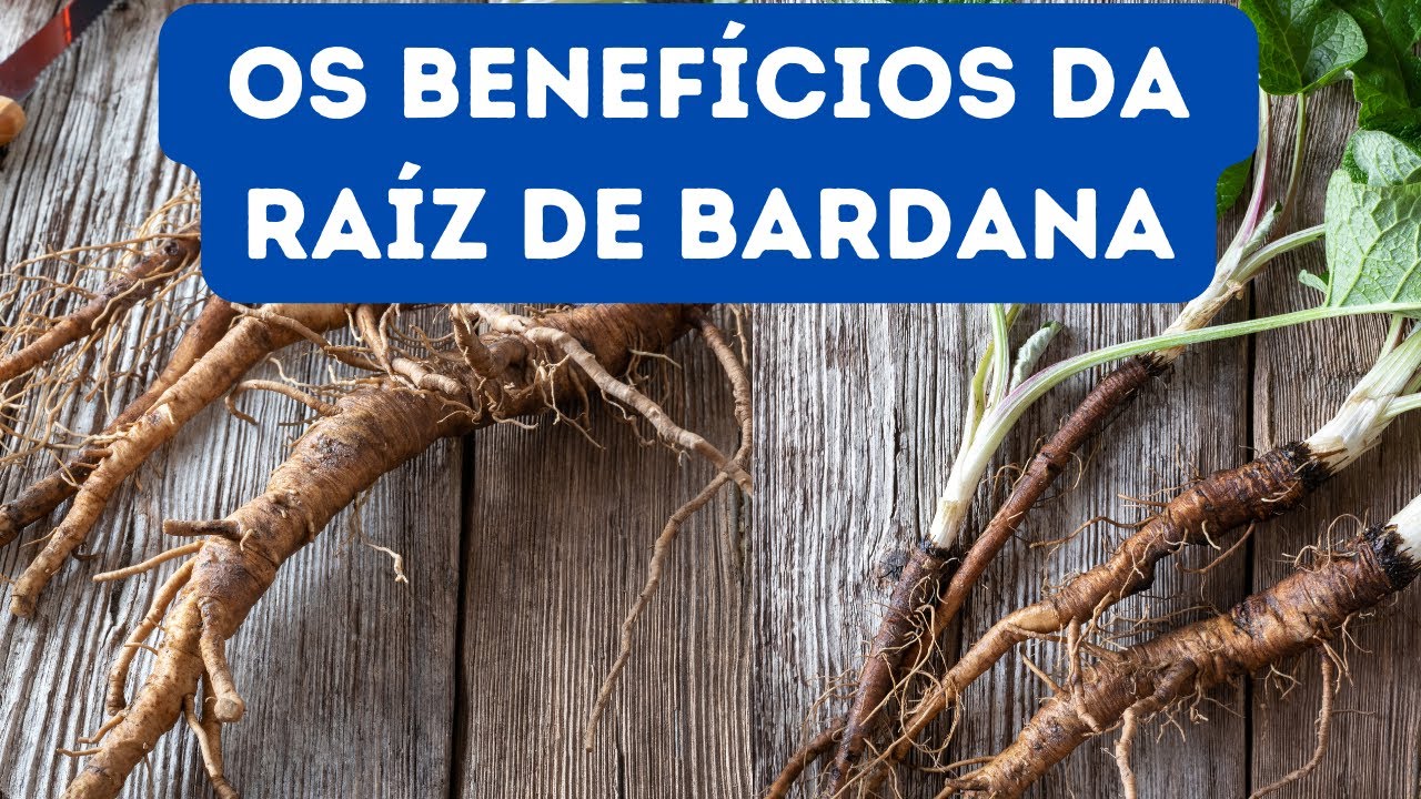 OS 10 MELHORES BENEFÍCIOS DA RAÍZ DE BARDANA PARA SAÚDE - YouTube