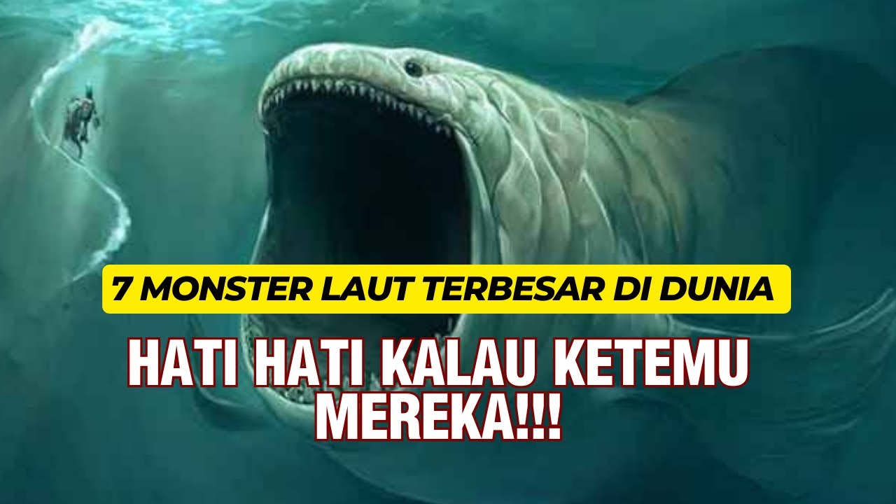 BURUAN KABUR DEH KALAU LIAT MONSTER LAUT YANG SATU INI!!! - YouTube