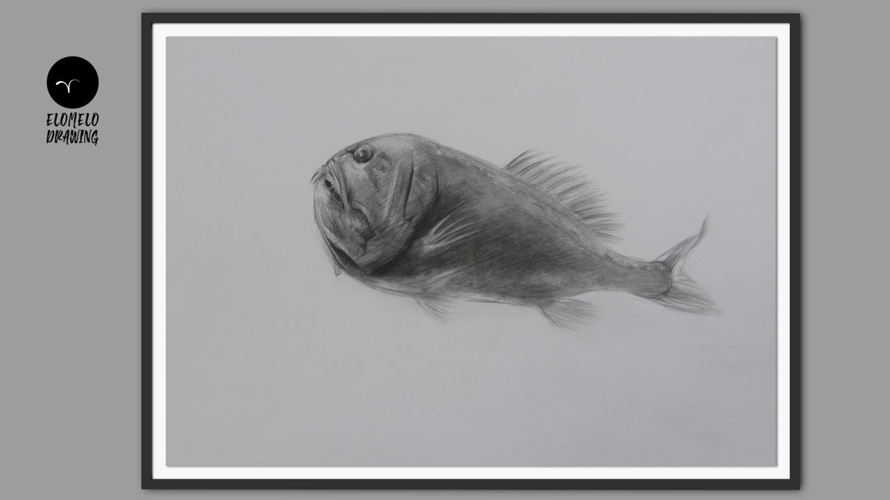 How To Draw A Deep Sea Ultra Black Fish || Pencil Sketch || Drawing ...