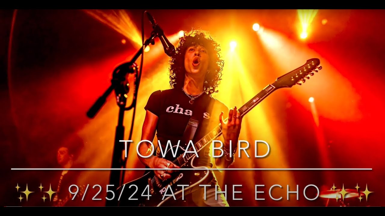 Towa Bird Rocks A Sold-Out Echo: A Rising Star's Electrifying ...