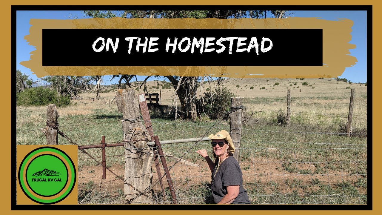 A Day Around The Homestead - YouTube