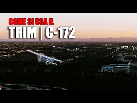 COME si usa il TRIM? | ITA | XP11 - YouTube