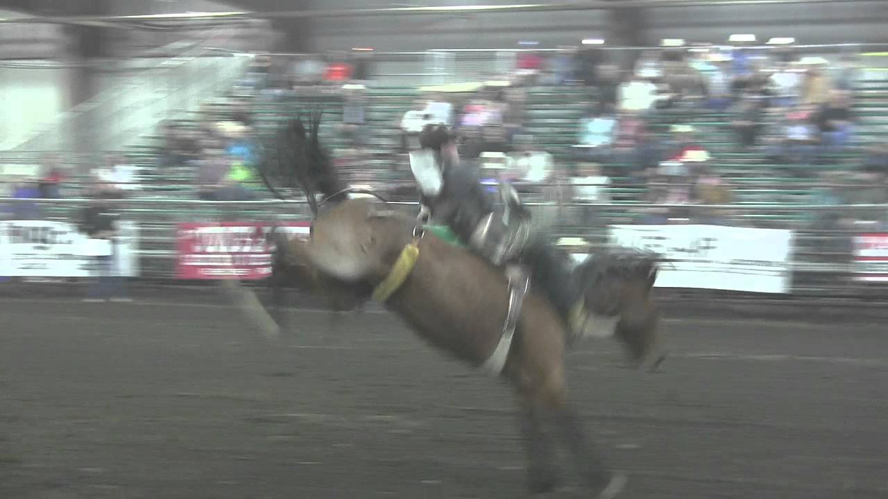 Cole Jamison 76 on Richards' 504 Sunday Stepper. Bareback. FCA Finals ...