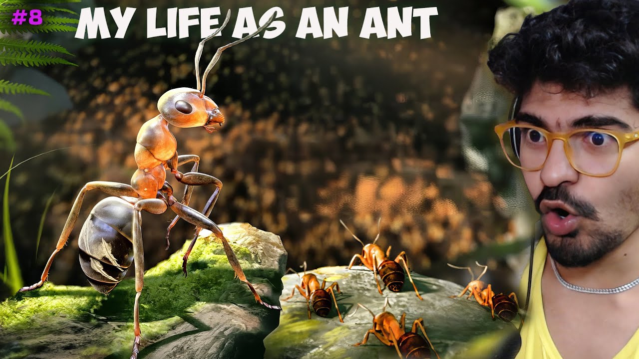 My Life As An ANT in a War Zone #8 - YouTube