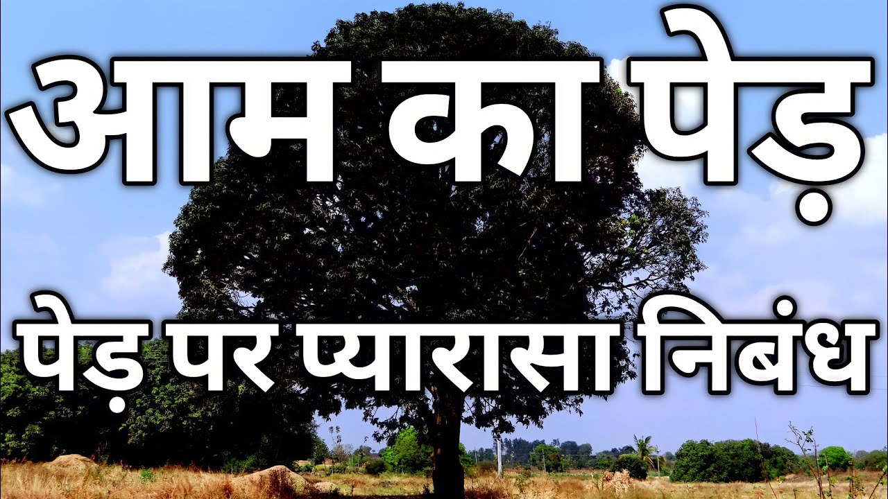 ped per nibandh | aam ke ped per nibandh | aam ka ped | ped ka nibandh ...