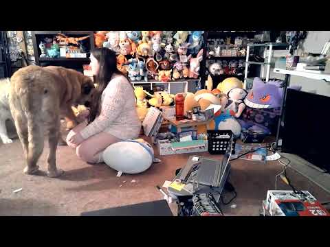 The Chronicles of Abby #98