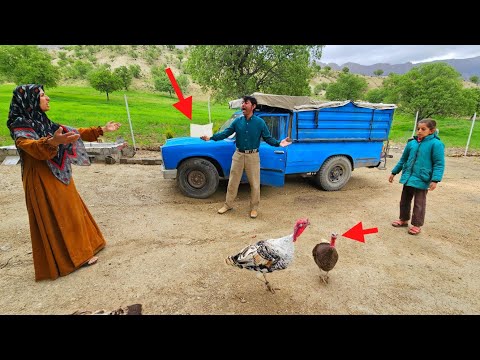 A Day in Ishaq & Azra’s Life: From Feeding Chickens to the Missing Turkey! 🐓🦃🌿
