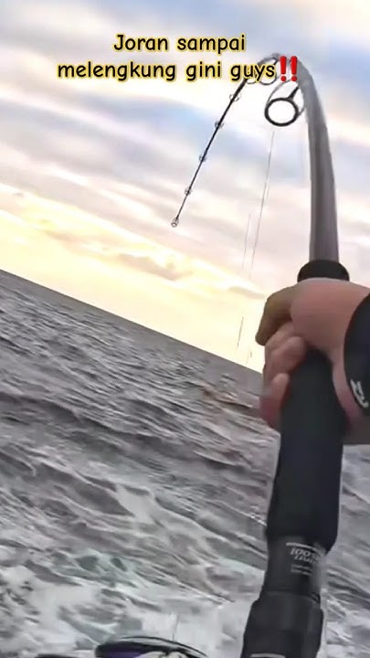 JORAN SAMPAI MELENGKUNG GINI GUYS‼️//@ANGLER fishing story#mancing - YouTube
