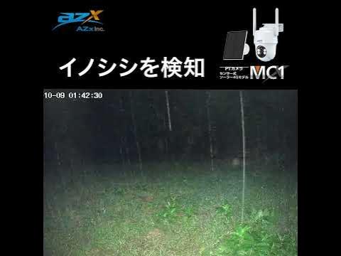 【鳥獣被害】イノシシを検知し撃退 ｜ AZx防犯・監視カメラ【MC1】活用事例 #shorts ※製品ページURLは説明欄へ - YouTube