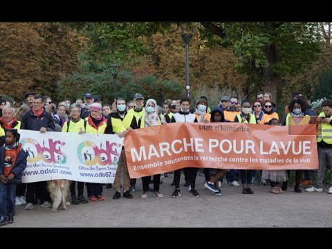 Vue (d') Ensemble Association - YouTube