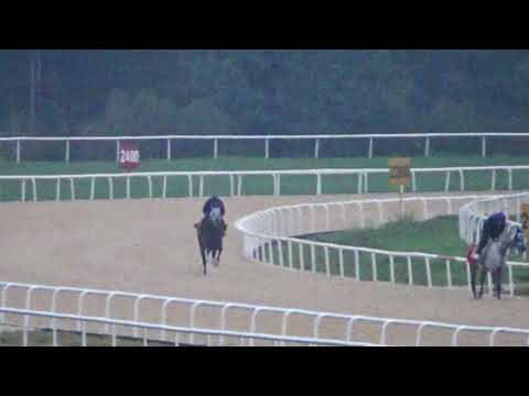 KÖREBE 1000 METRE DERECE 1 04 HALİL ALTIN İLE     19 04 2021 PAZARTESİ