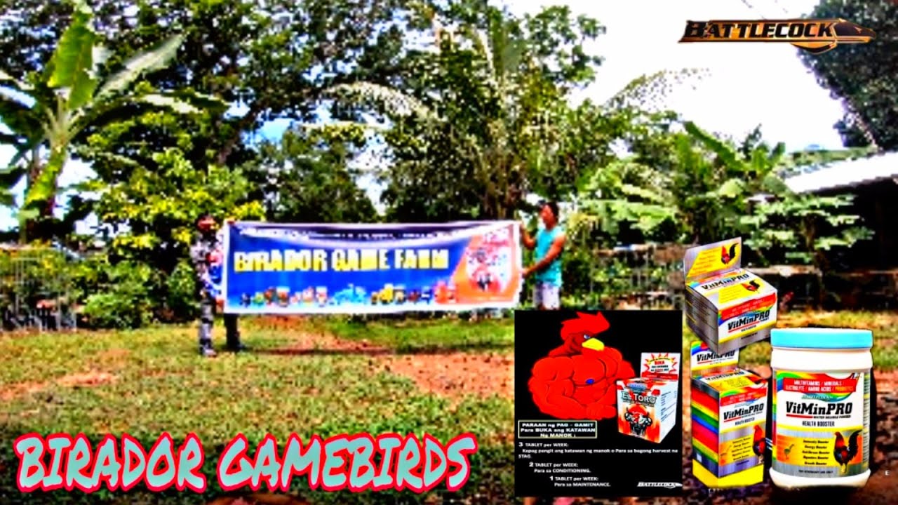 BATTLECOCK PRODUCT vitminpro powder at El toro tablet - YouTube