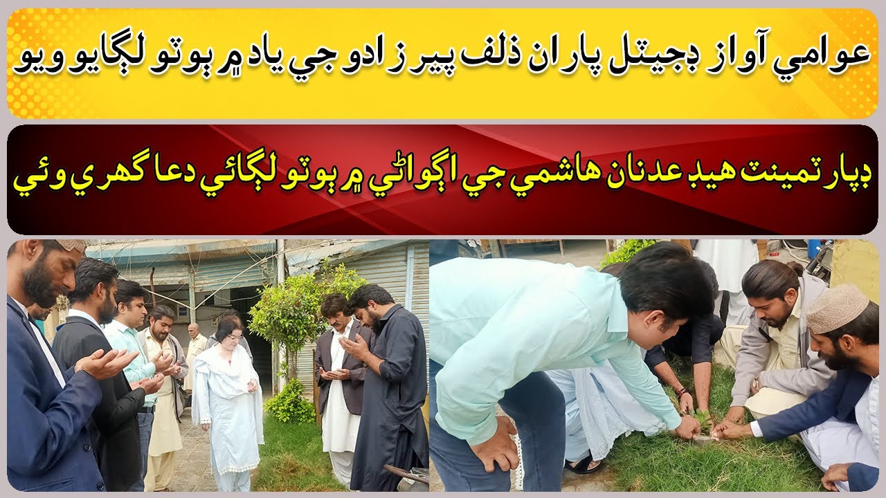 Awami Awaz Digital planted a plant in memory of Zulf Pirzado - YouTube