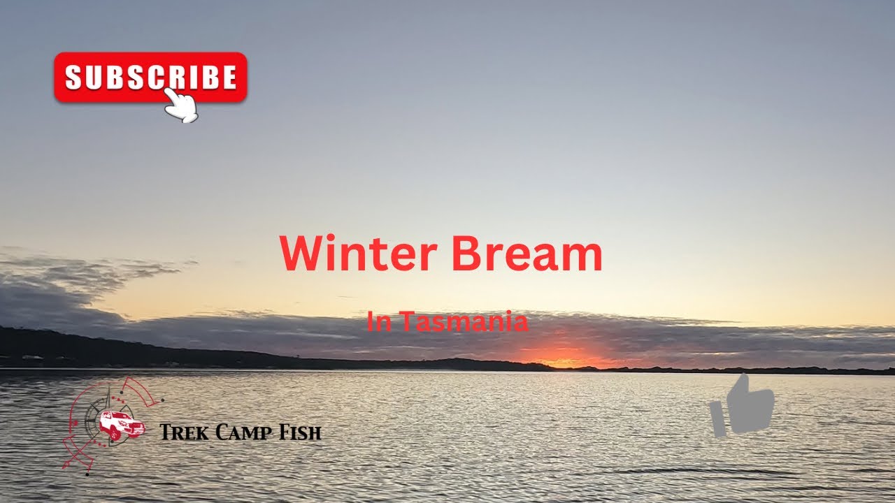 Winter Bream in Tasmania - YouTube