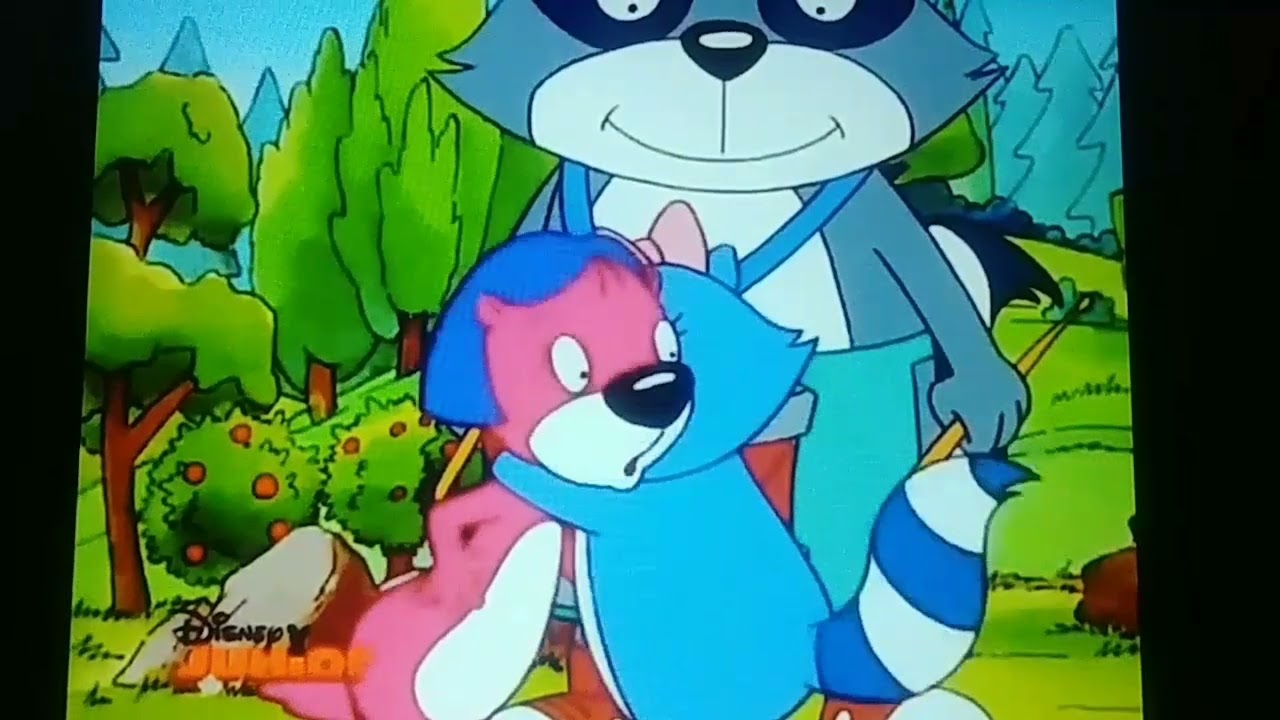 Pinch Raccoon Sad that She will miss Jelly - YouTube