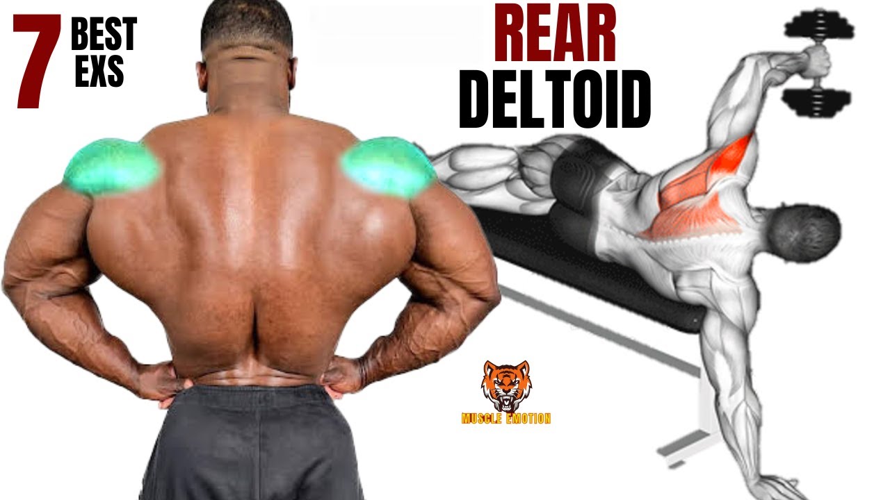 7 BEST REAR SHOULDERS WORKOUT WITH MACHINE DUMBBELLS CABLE AND BARBELL ...