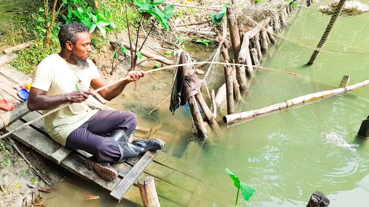 WOW! Global Fantastic Hook Fishing || Unbelievable Hook Fishing ...