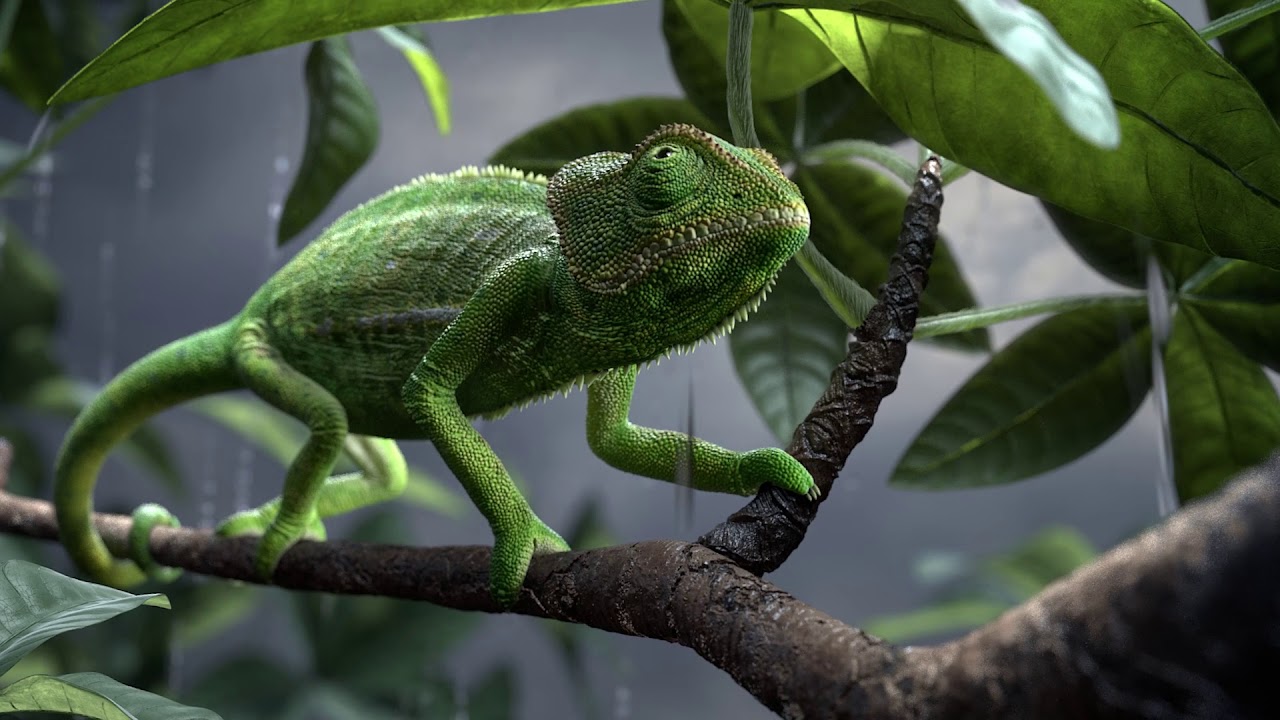 AVBOB Family Tree - Centenary Ad - YouTube