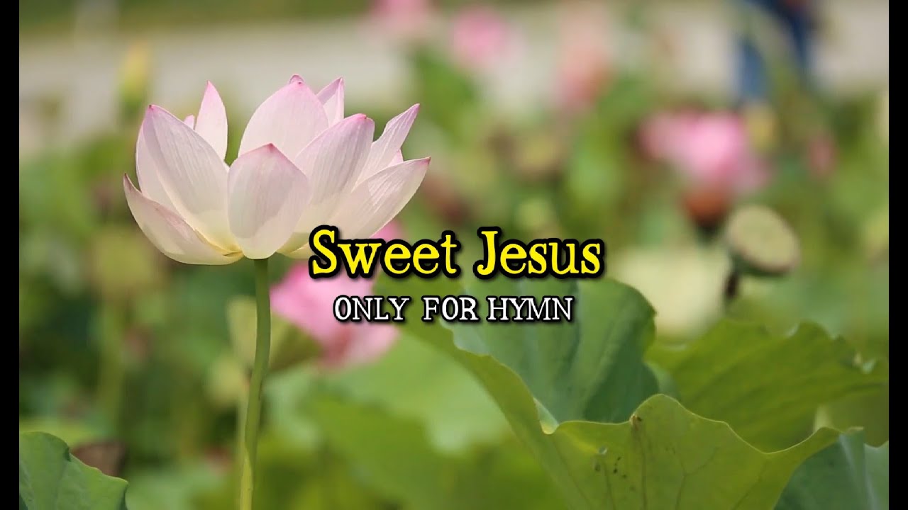 Sweet Jesus- Piano Accompaniment - YouTube