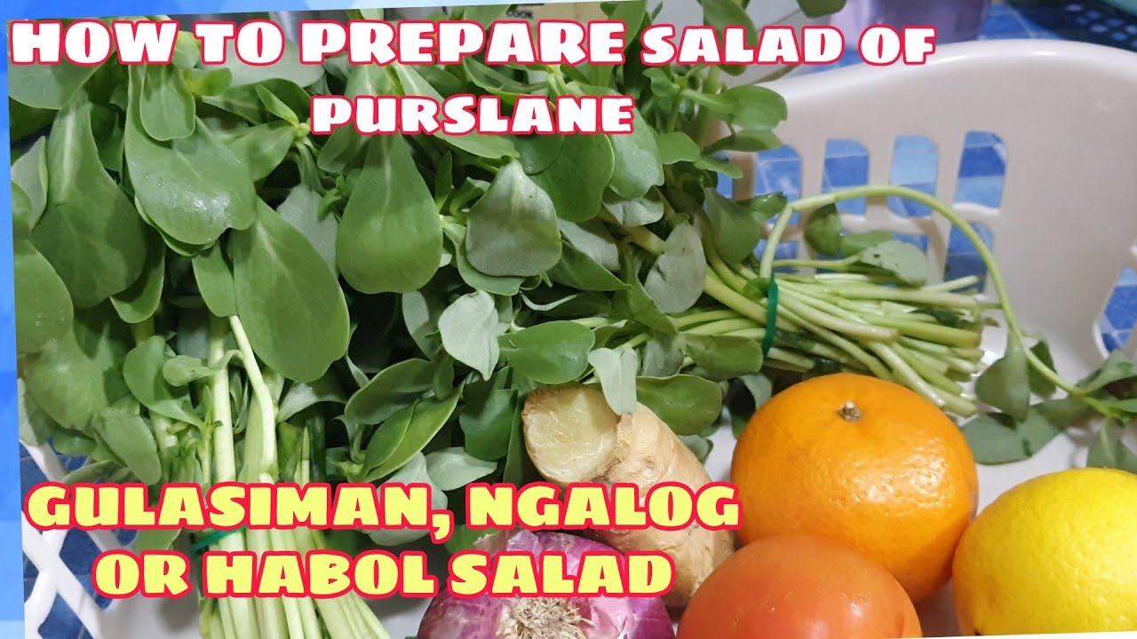 WHAT IS THE HEALTH BENEFITS OF PURSLANE WEEDS | GULASIMAN OR NGALOG ...