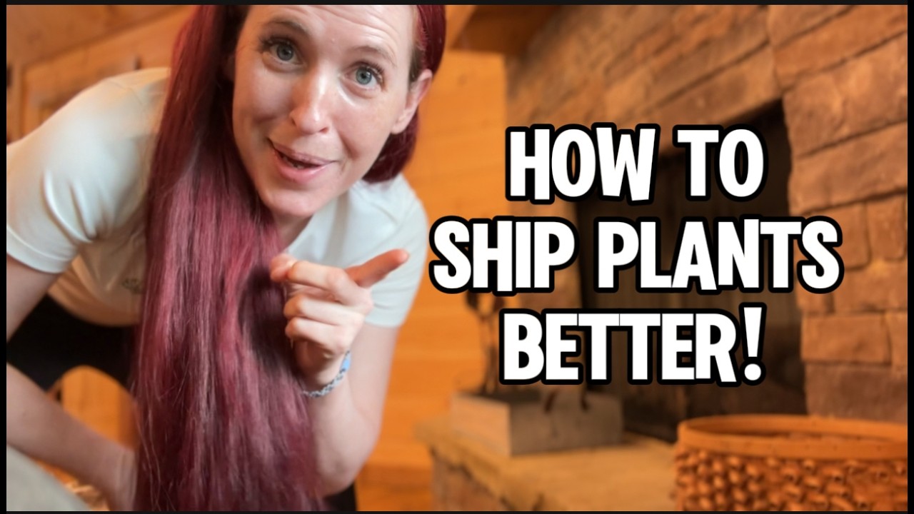 A Better Way to Ship Plants | Tips to Ship Plants - YouTube