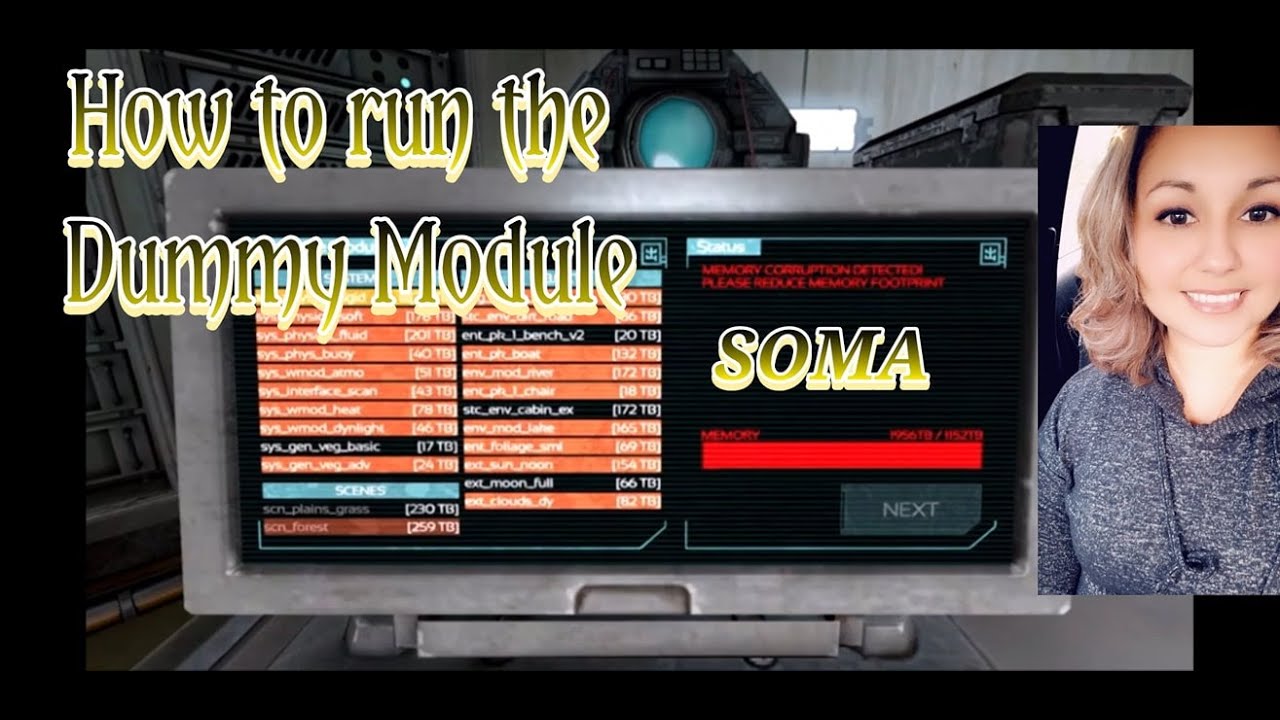 How to Run the Dummy Module in SOMA - YouTube