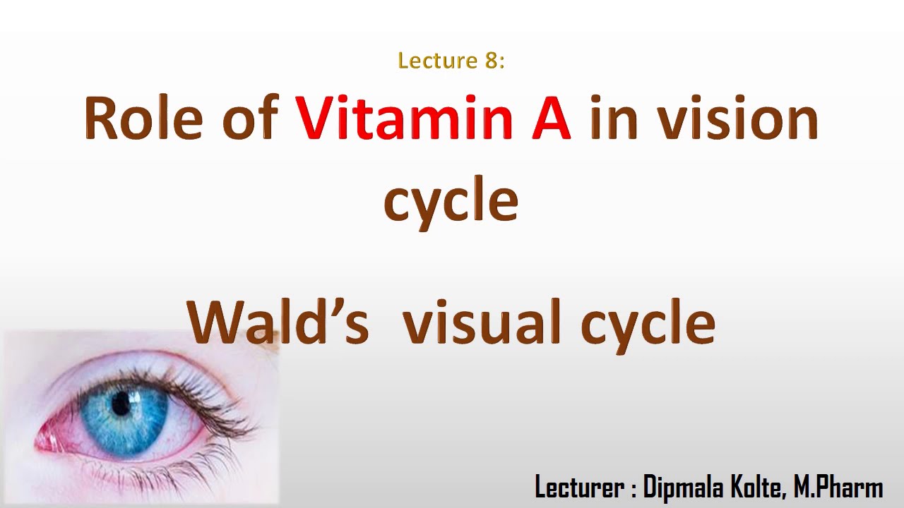Vitamin A role for Skin | Vitamin A role in Vision cycle | Wald's ...