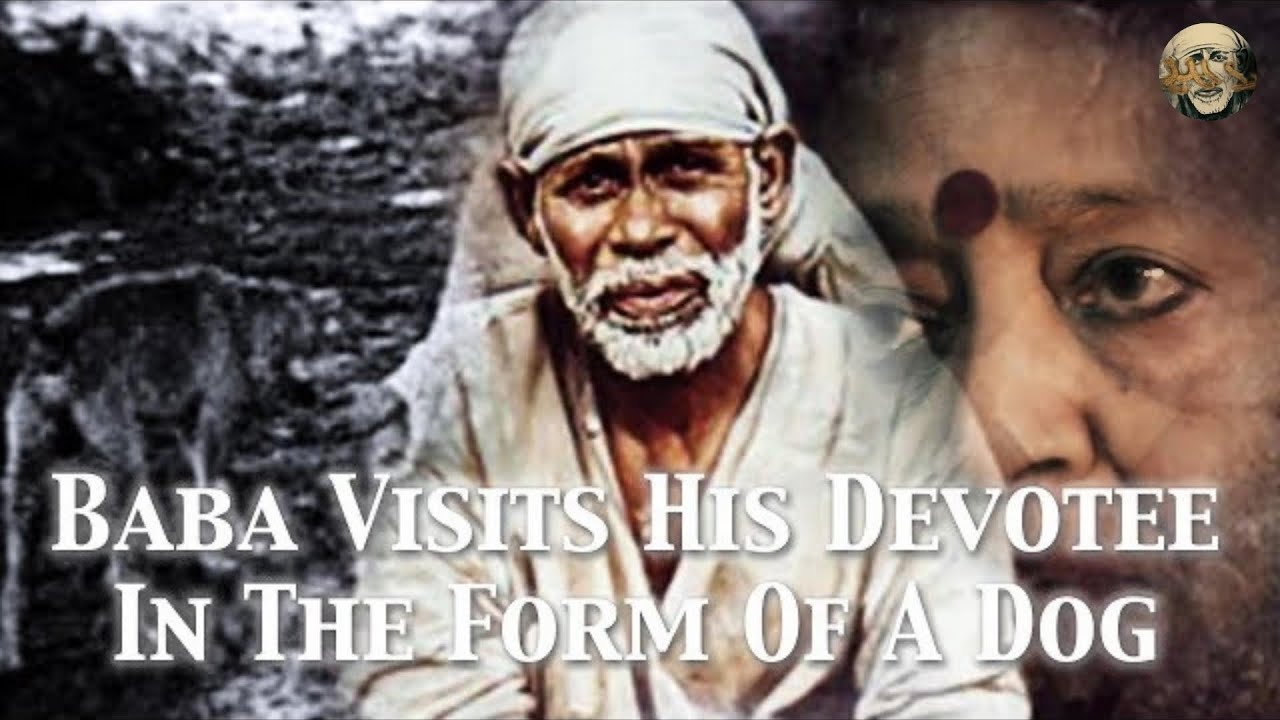Sai Baba Comes In The Form Of A Black Dog - YouTube