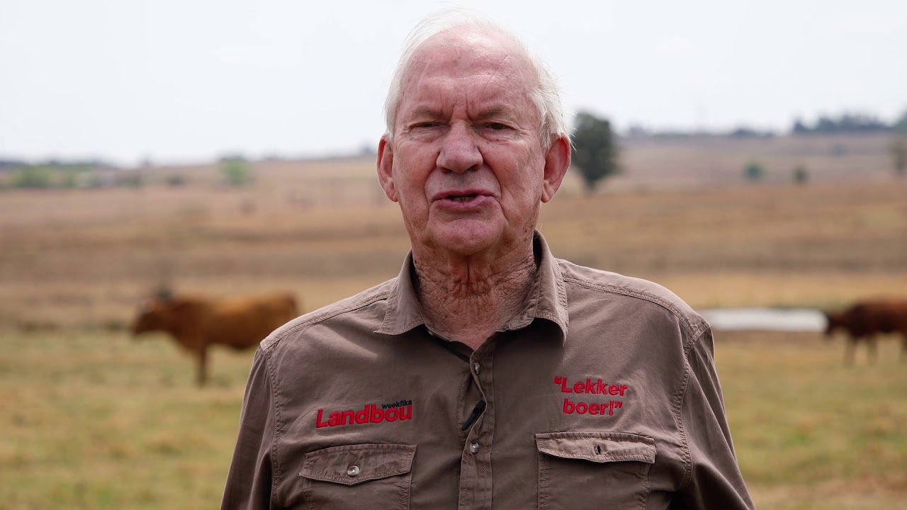 Dok Faffa verduidelik hoekom veeboere eintlik met baarmoeders boer ...