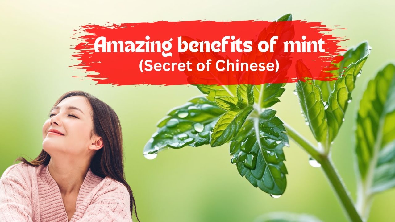 Amazing Multiple Benefits of Mint - YouTube