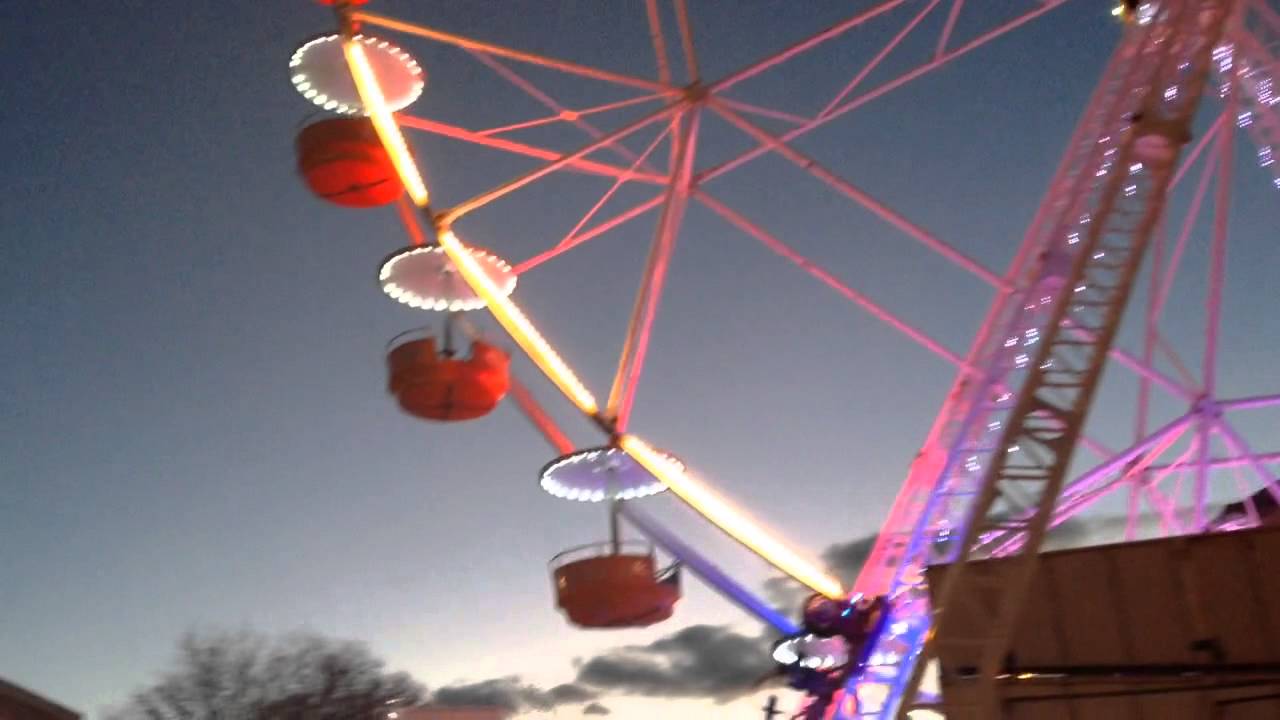 birds in nimes - YouTube