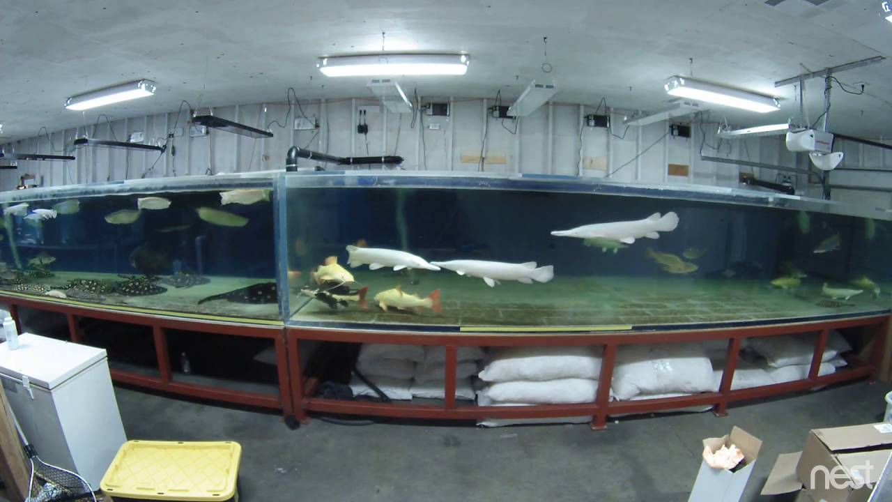 4000 gallon 8 11 - YouTube