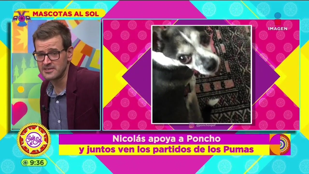 Poncho Vera presume a su perro cantando el himno de los 'Pumas' | Sale ...