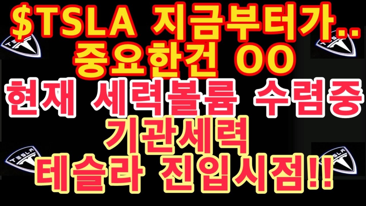 기관세력 테슬라 진입시점 테슬라주가 지금부터가 중요한건 Oo 세력볼륨 수렴중 Tesla 주가 테슬라 투자