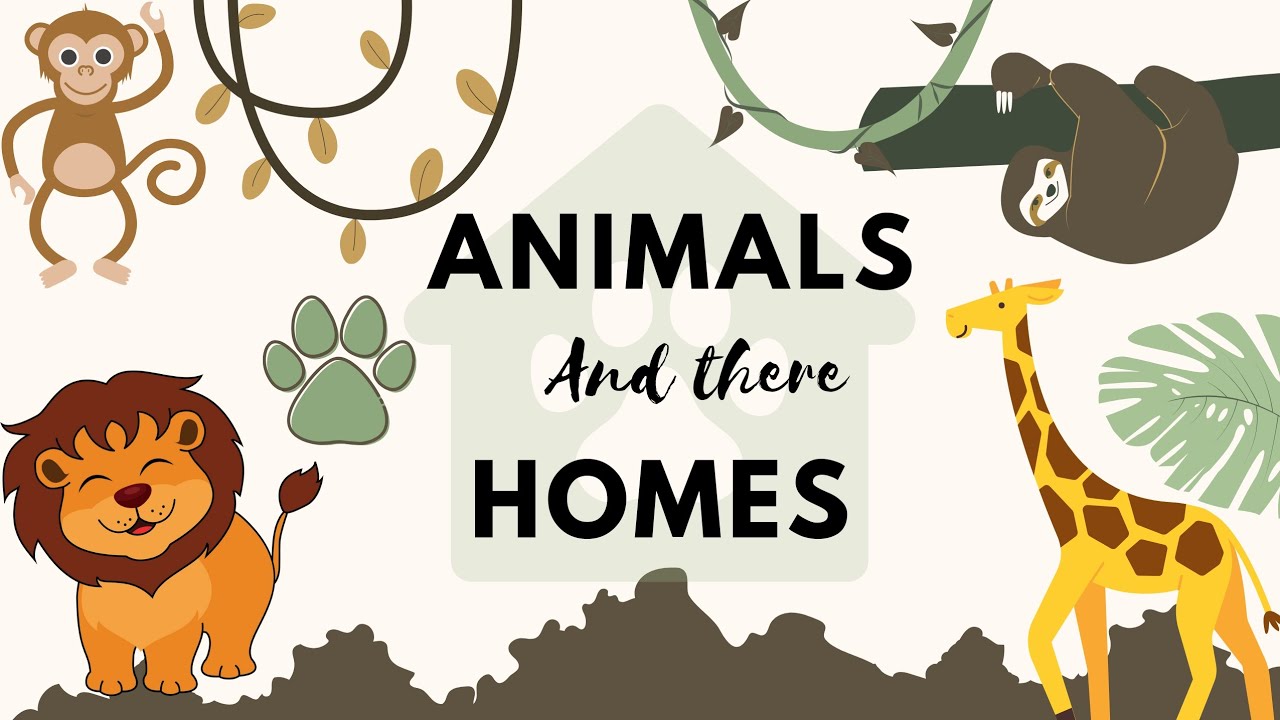 Amazing Animal Homes || Animals And There Homes|| - YouTube