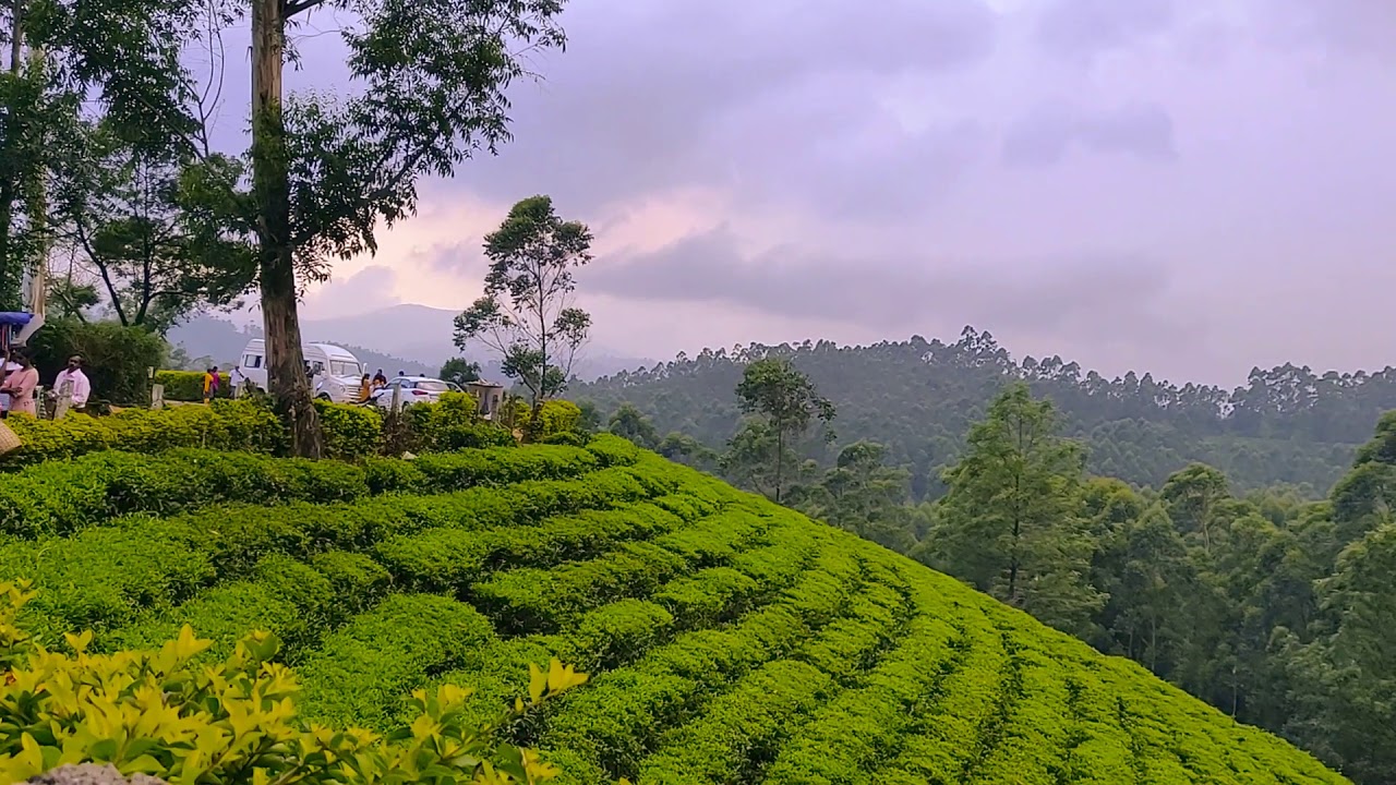 Munnar Scenic Drive - YouTube
