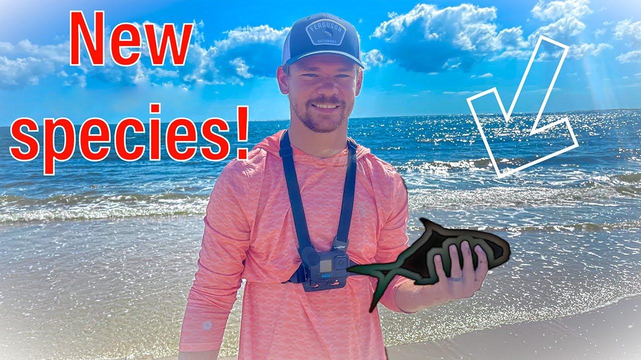 Multi Species Surf Fishing Jacksonville FL! - YouTube