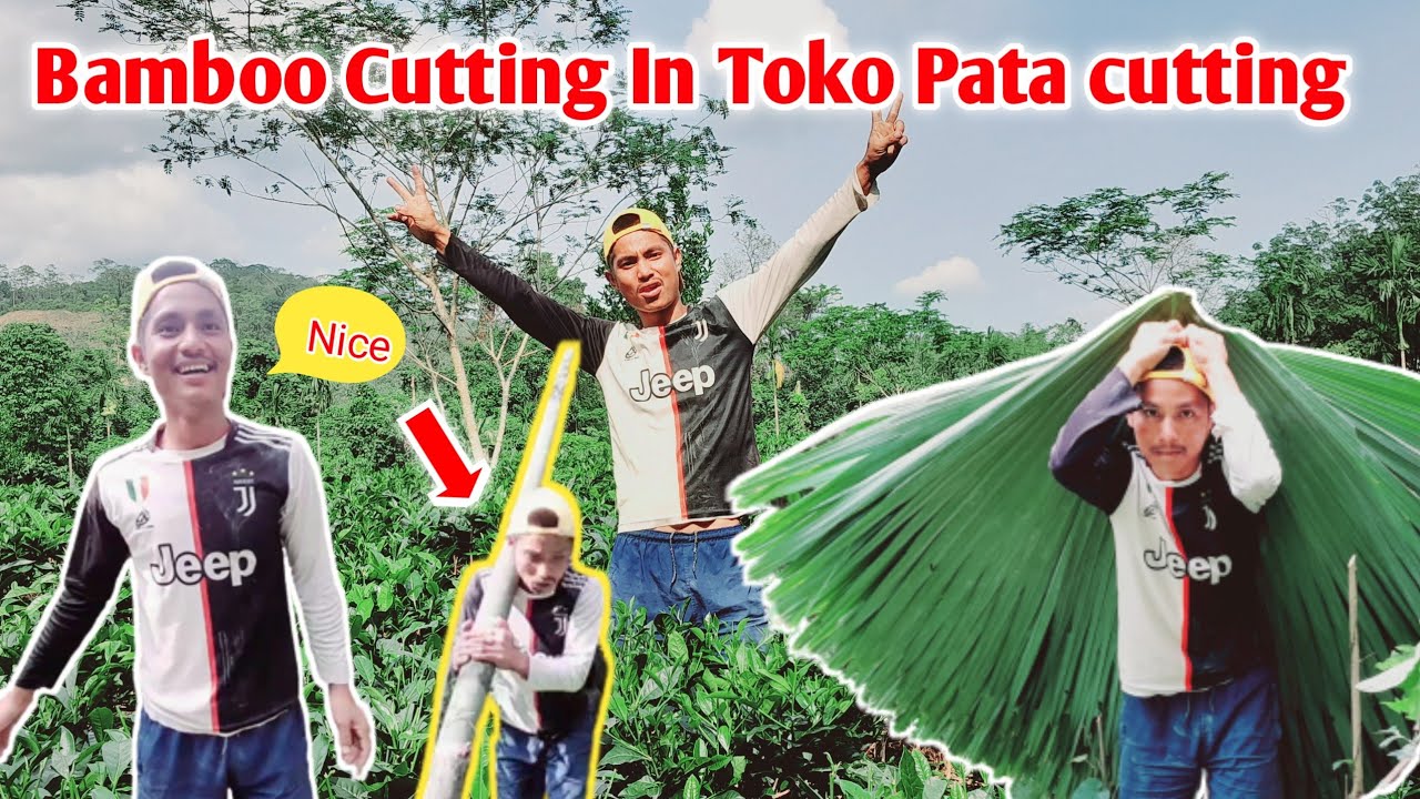 Bamboo Cutting In Toko Pata cutting Karne Gaya Tha..Indravolg8 cutting ...