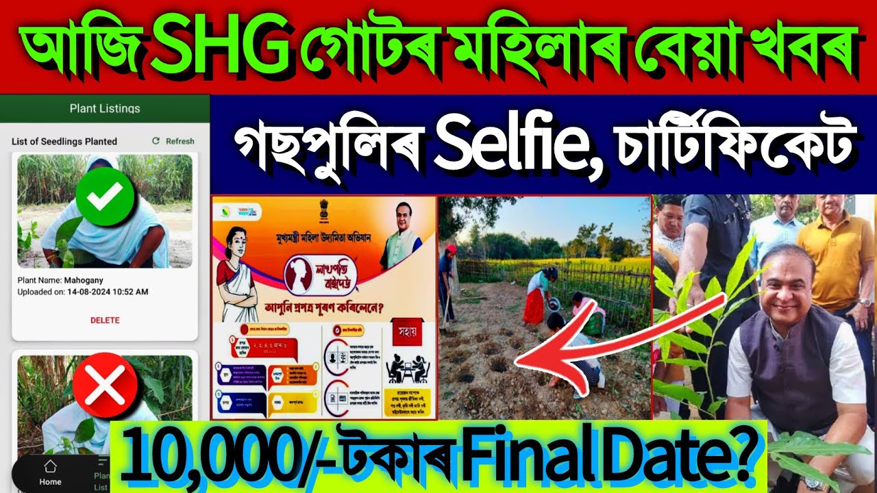 Today Assamese Big Breaking News || SHG Group Bad News Today || Assam ...