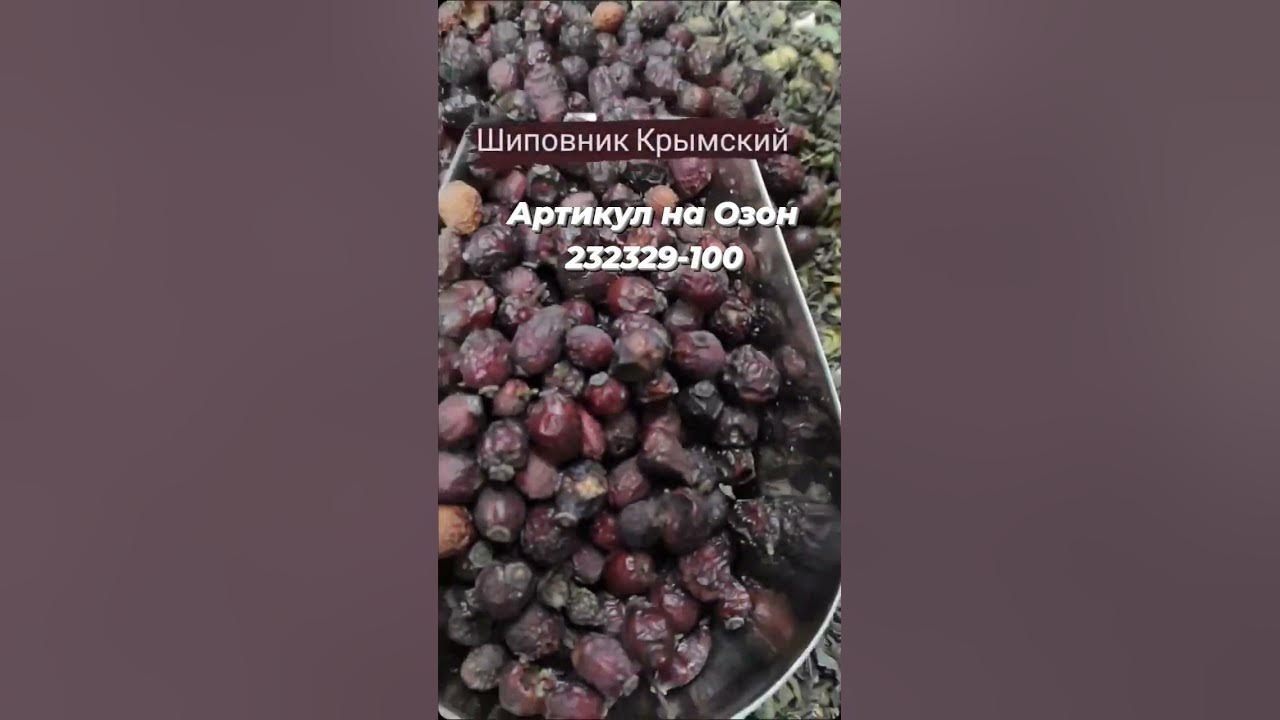 Чай имбирный лимонник. Описаниев коментариях. - YouTube